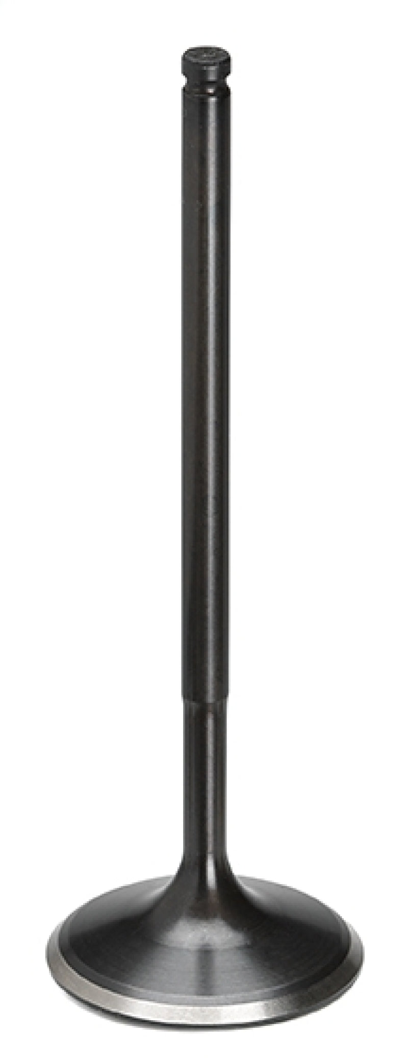Supertech Toyota 5VZFE Black Nitrided Intake Valve - Single (Drop Ship ...